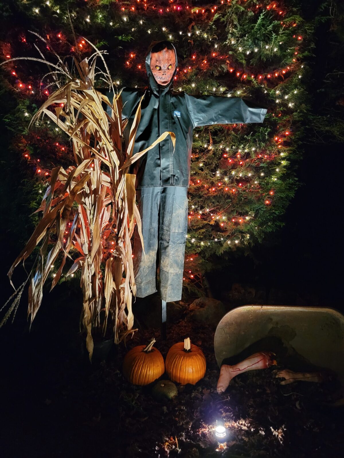 "The Night Harvester" - ID# 3836 • Edmonds Historical Museum