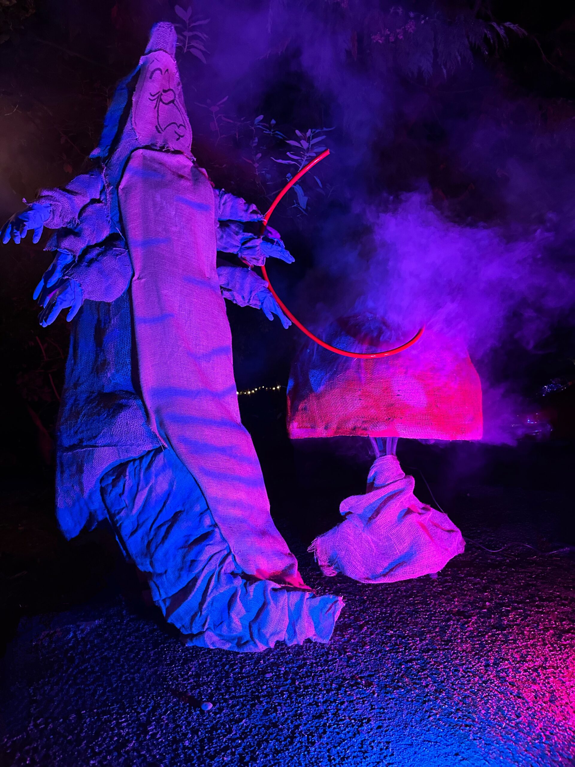 Scarecrow Festival Winners • Edmonds Historical Museum
